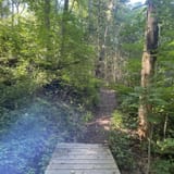 Wadsworth Falls Loop, Connecticut - 4,372 Reviews, Map | AllTrails