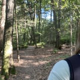 Wadsworth Falls Loop, Connecticut - 4,759 Reviews, Map | AllTrails