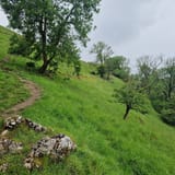 Chee Dale Gorge Circular, Derbyshire, England - 1,550 Reviews, Map ...