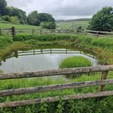 Chee Dale Gorge Circular, Derbyshire, England - 1,550 Reviews, Map ...