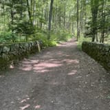 Wadsworth Falls Loop, Connecticut - 4,759 Reviews, Map | AllTrails