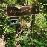 Appalachian Approach Trail to Springer Mountain, Georgia - 1,163 ...