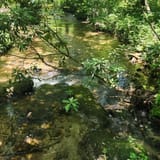 Appalachian Approach Trail to Springer Mountain, Georgia - 1,163 ...