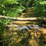Appalachian Approach Trail to Springer Mountain, Georgia - 1,163 ...