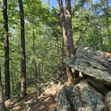 Kings Chair Loop, Alabama - 2,254 Reviews, Map | AllTrails