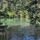 Two Lakes Trail, Alaska - 550 Reviews, Map | AllTrails