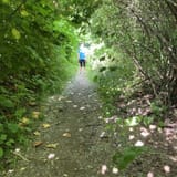 Neversink Loop Trail, Pennsylvania - 1,261 Reviews, Map | AllTrails