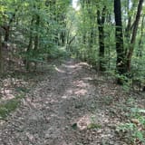 Neversink Loop Trail, Pennsylvania - 1,261 Reviews, Map | AllTrails
