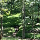 White Bison Loop, Missouri - 2,497 Reviews, Map | AllTrails