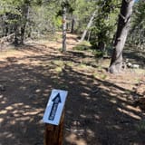 Raspberry Mountain Trail via Ring the Peak Trail, Colorado - 1,892 ...