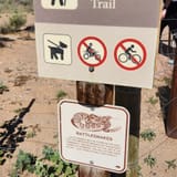 Rinconada Canyon Trail, New Mexico - 1,932 Reviews, Map | AllTrails