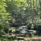 Seneca Creek Trail, West Virginia - 338 Reviews, Map | AllTrails