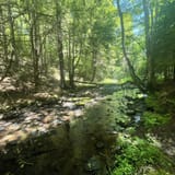 Seneca Creek Trail, West Virginia - 331 Reviews, Map | AllTrails