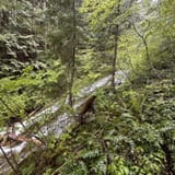 Excelsior Pass Trail, Washington - 668 Reviews, Map | AllTrails