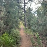 Beaver Brook Trail, Colorado - 1,514 Reviews, Map | AllTrails