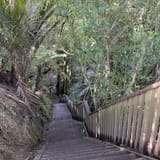 Puhinui Stream Forest Trail, Auckland, New Zealand - 551 Reviews, Map ...