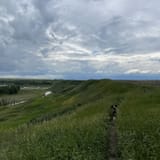 Wyndham-Carseland Provincial Park Trails, Alberta, Canada - 82 Reviews ...