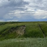 Wyndham-Carseland Provincial Park Trails, Alberta, Canada - 82 Reviews ...