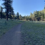 Sandys Canyon Trail, Arizona - 1,222 Reviews, Map | AllTrails