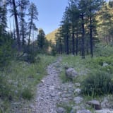 Sandys Canyon Trail, Arizona - 1,222 Reviews, Map | AllTrails