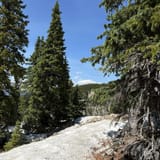 Deception Peak and Lake Peak, New Mexico - 484 Reviews, Map | AllTrails