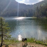 Middle Fork Lake Trail, New Mexico - 945 Reviews, Map | AllTrails