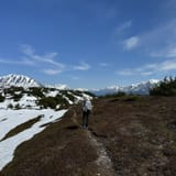 Lost Lake via Primrose Trail, Alaska - 255 Reviews, Map | AllTrails