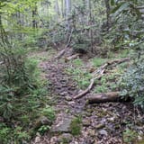 The Boogerman Trail [CLOSED], North Carolina - 530 Reviews, Map | AllTrails