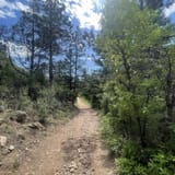 Eagle's View Trail Loop, Colorado - 3,199 Reviews, Map | AllTrails