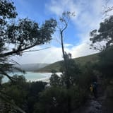 Little Waterloo Bay Campsite to Refuge Cove Campsite, Victoria ...