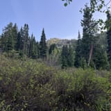 Gobblers Knob via Alexander Basin Trail, Utah - 687 Reviews, Map ...