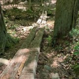 Appalachian Trail, Hosack Run, and Locust Gap Loop, Pennsylvania - 452 ...