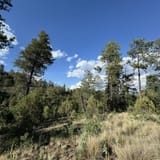 Grindstone Canyon Loop, New Mexico - 1,735 Reviews, Map | AllTrails