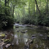 Trace Ridge Trail, Spencer Gap, and Fletcher Creek Loop, North Carolina ...