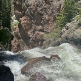 Booth Falls, Colorado - 5,313 Reviews, Map | AllTrails
