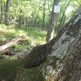 Pilot Knob Ridge, New York - 1,632 Reviews, Map | AllTrails