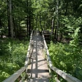 North Rim and South Rim Red Trail Loop, New York - 1,470 Reviews, Map ...