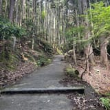 Mount Atago Loop, Kyoto, Japan - 182 Reviews, Map | AllTrails