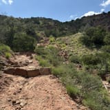 Haynes Ridge and Upper North Prong Trail Loop, Texas - 881 Reviews, Map ...