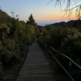 Verna Dunshee Trail and Plank Trail at Mount Tam East Peak, California ...