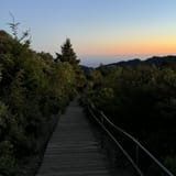Verna Dunshee Trail and Plank Trail at Mount Tam East Peak, California ...