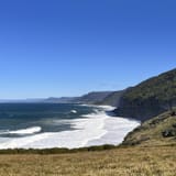 Palm Jungle Loop Track, New South Wales, Australia - 339 Reviews, Map ...