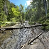 Allen Mountain Trail, New York - 1,180 Reviews, Map | AllTrails