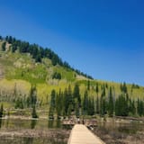 Silver Lake Loop Trail, Utah - 1,676 Reviews, Map | AllTrails