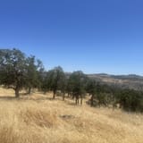 Peoria Flat, California - 385 Reviews, Map | AllTrails