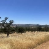 Peoria Flat, California - 385 Reviews, Map | AllTrails