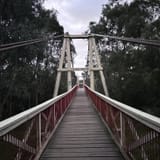 Galatea Point & Dights Falls Loop, Victoria, Australia - 416 Reviews ...