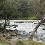 Galatea Point & Dights Falls Loop, Victoria, Australia - 416 Reviews ...