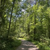 Hard Times Loop, North Carolina - 1,640 Reviews, Map | AllTrails