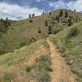 Greyrock Mountain via Greyrock and Greyrock Meadow Loop, Colorado ...